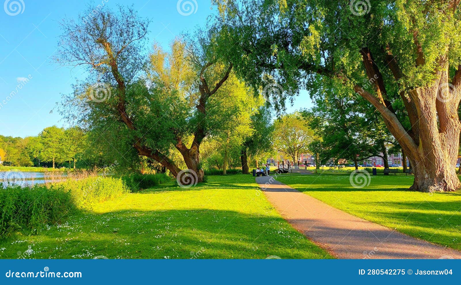 Old willow tree at sunset stock image. Image of concealment - 280542275