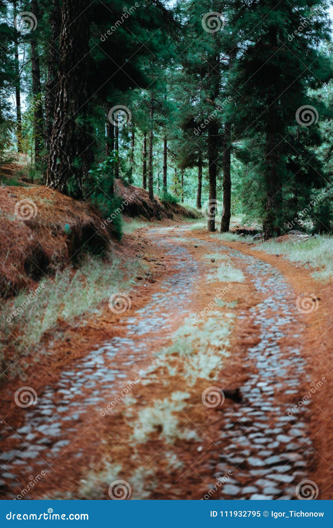 Winding Cobbledpath Stock Photos - Free & Royalty-Free Stock Photos ...