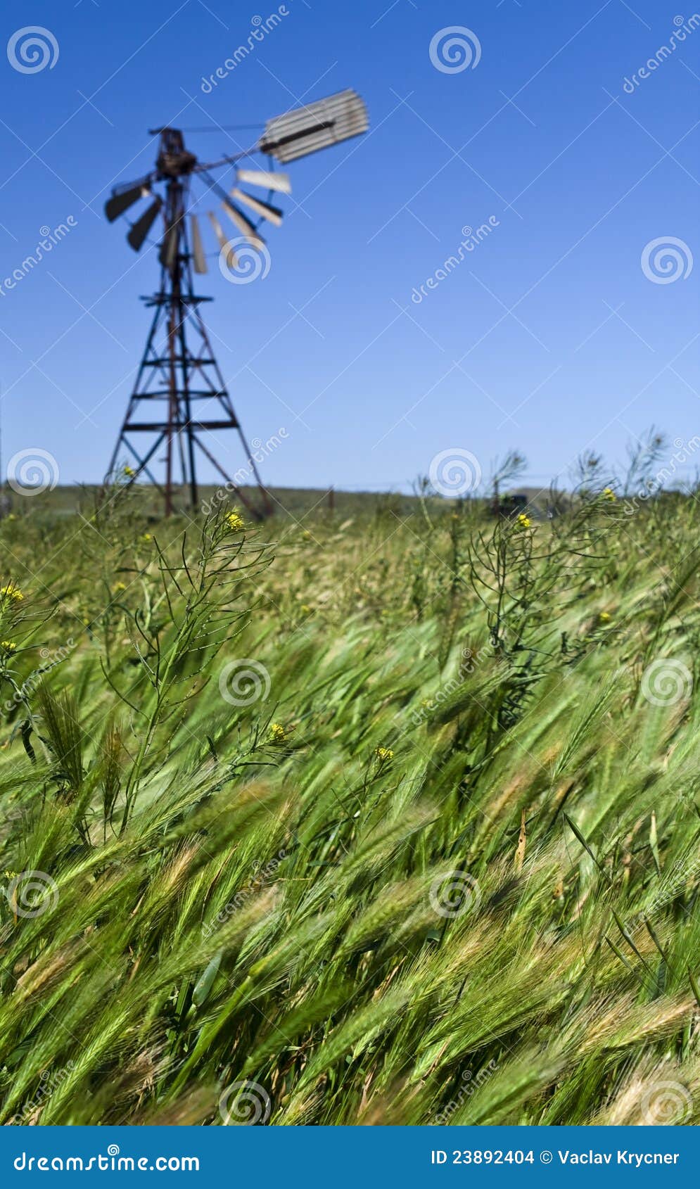 Old windmill in Australia stock photo. Image of farm - 23892404