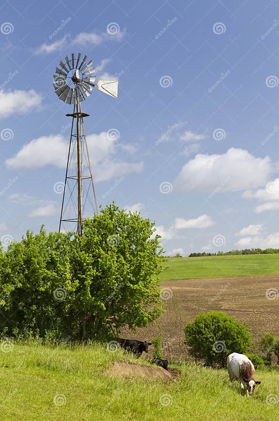 Old Windmill Farm stock photo. Image of country, rural - 25058192