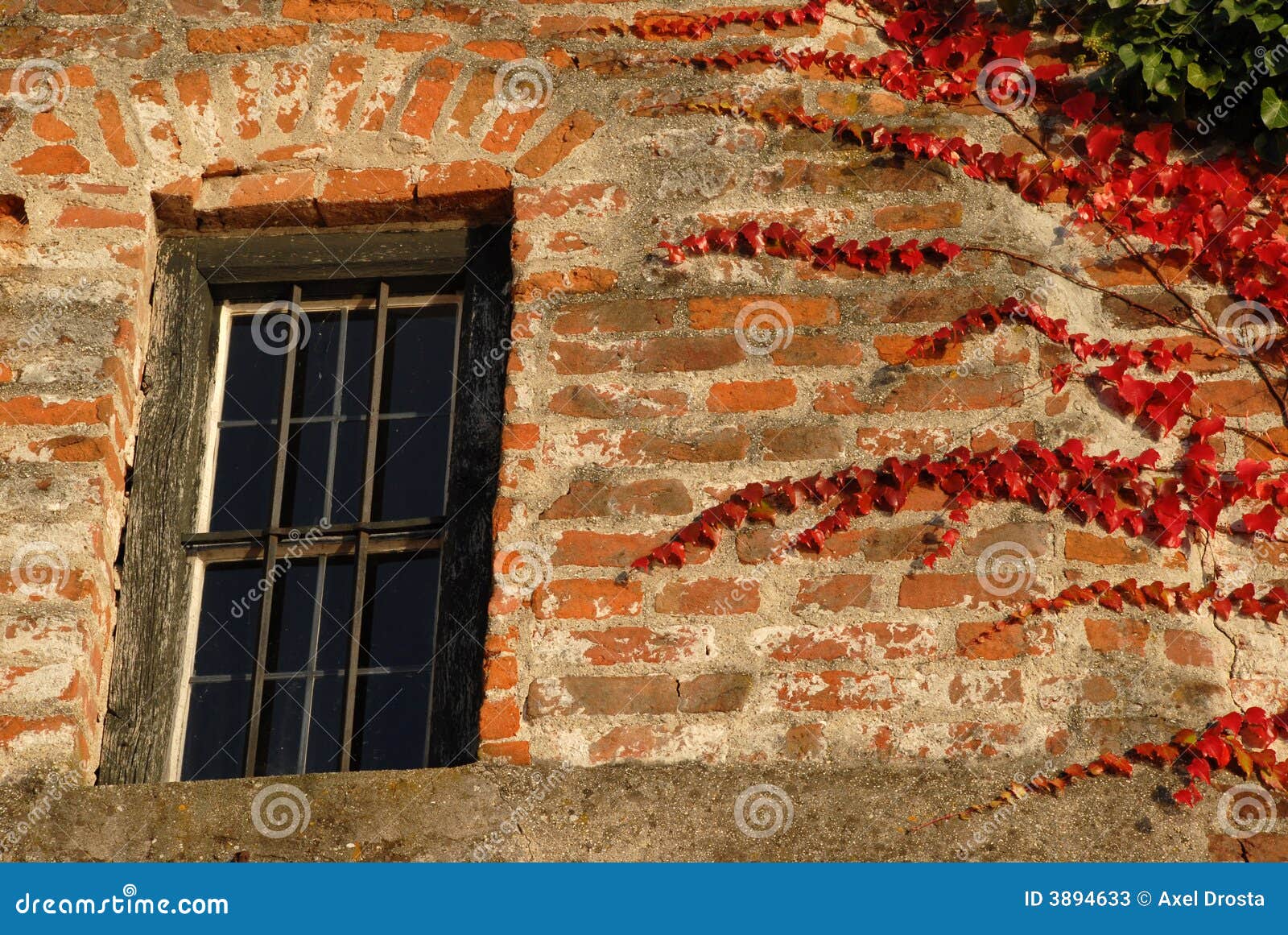 Old Window with Autumn Leaves Stock Image - Image of orange, autumnal ...