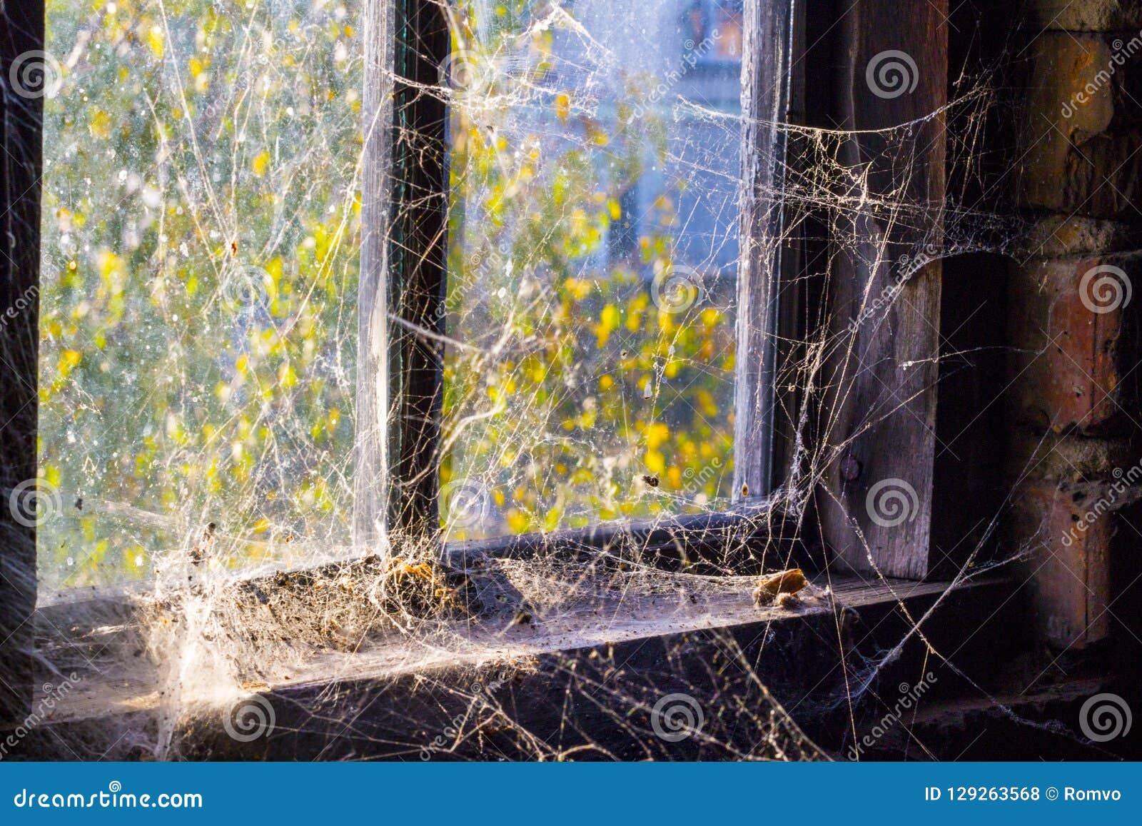 Old window and cobweb stock photo. Image of history - 129263568