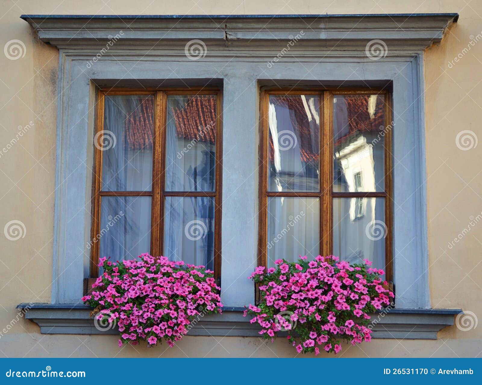 Old window with flowers stock photo. Image of marble - 26531170