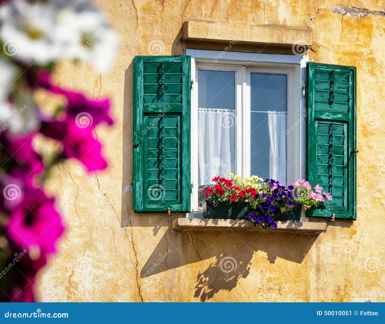 Old window and flowers stock image. Image of holiday - 50010051