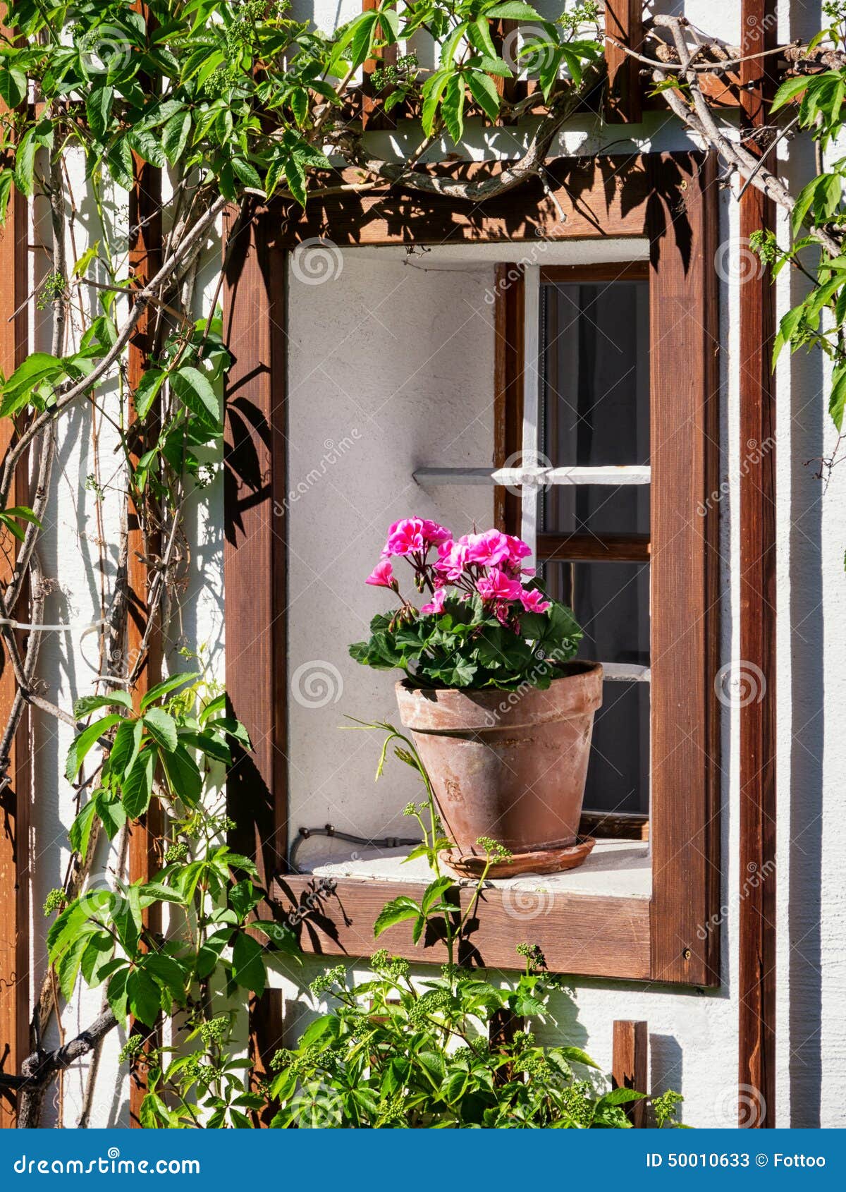 Old window and flowers stock image. Image of bavaria - 50010633
