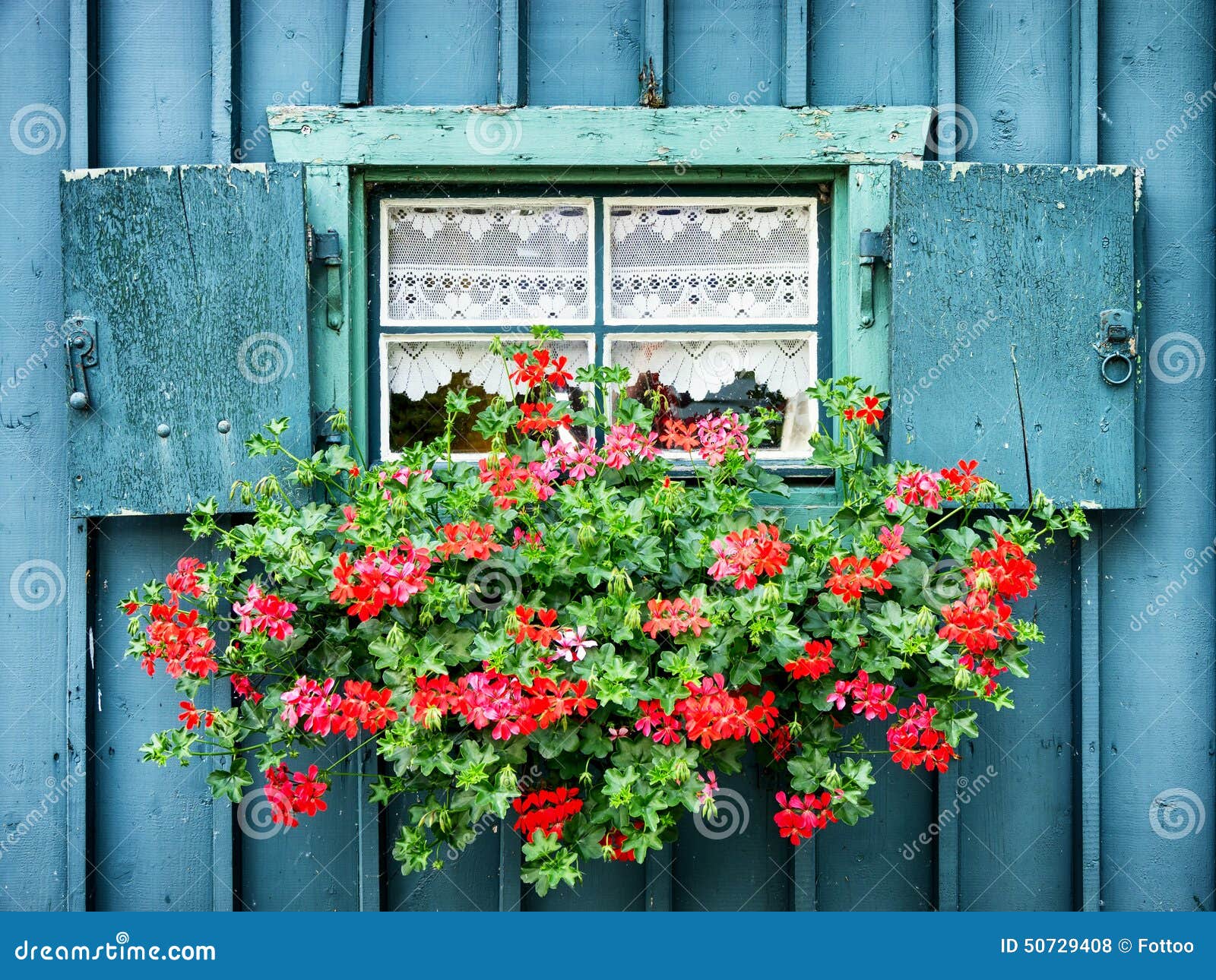 Old window and flowers stock photo. Image of facade, curtain - 50729408