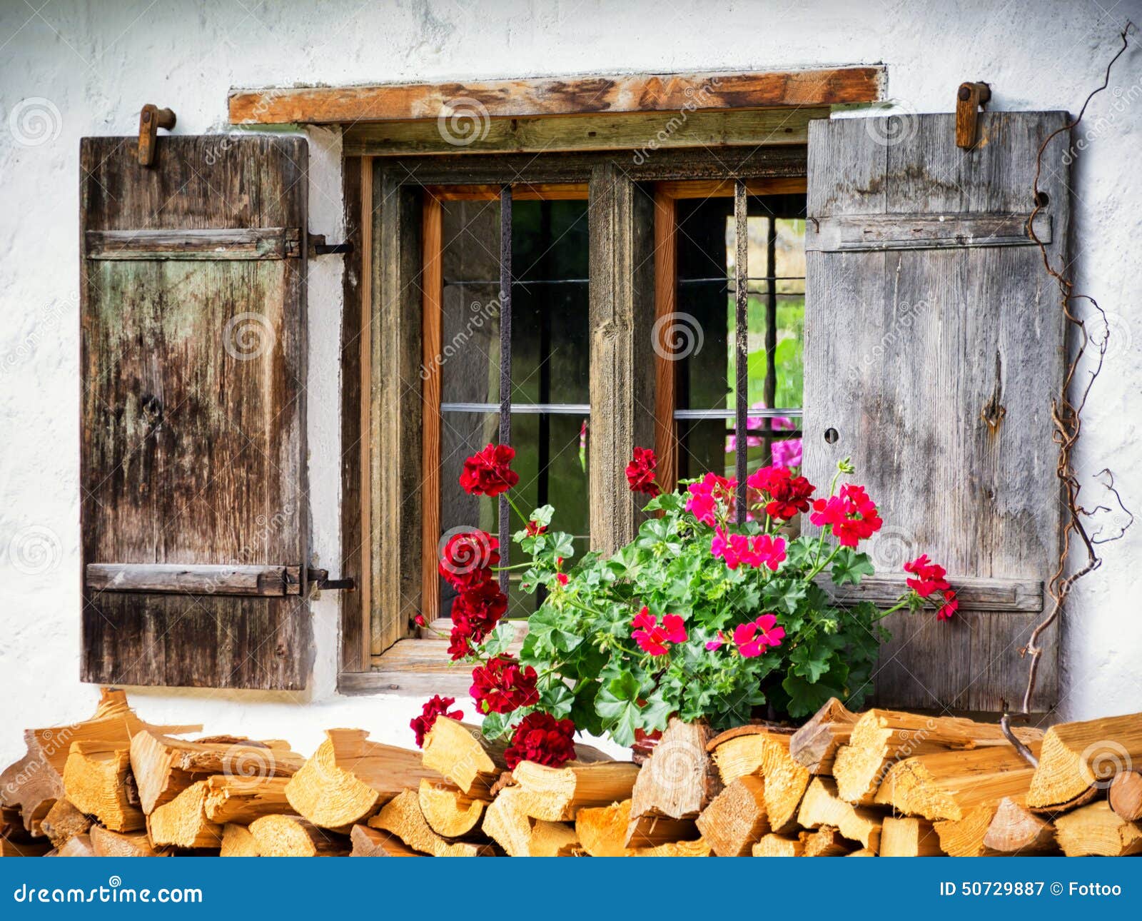 Old window and flowers stock image. Image of fashioned - 50729887