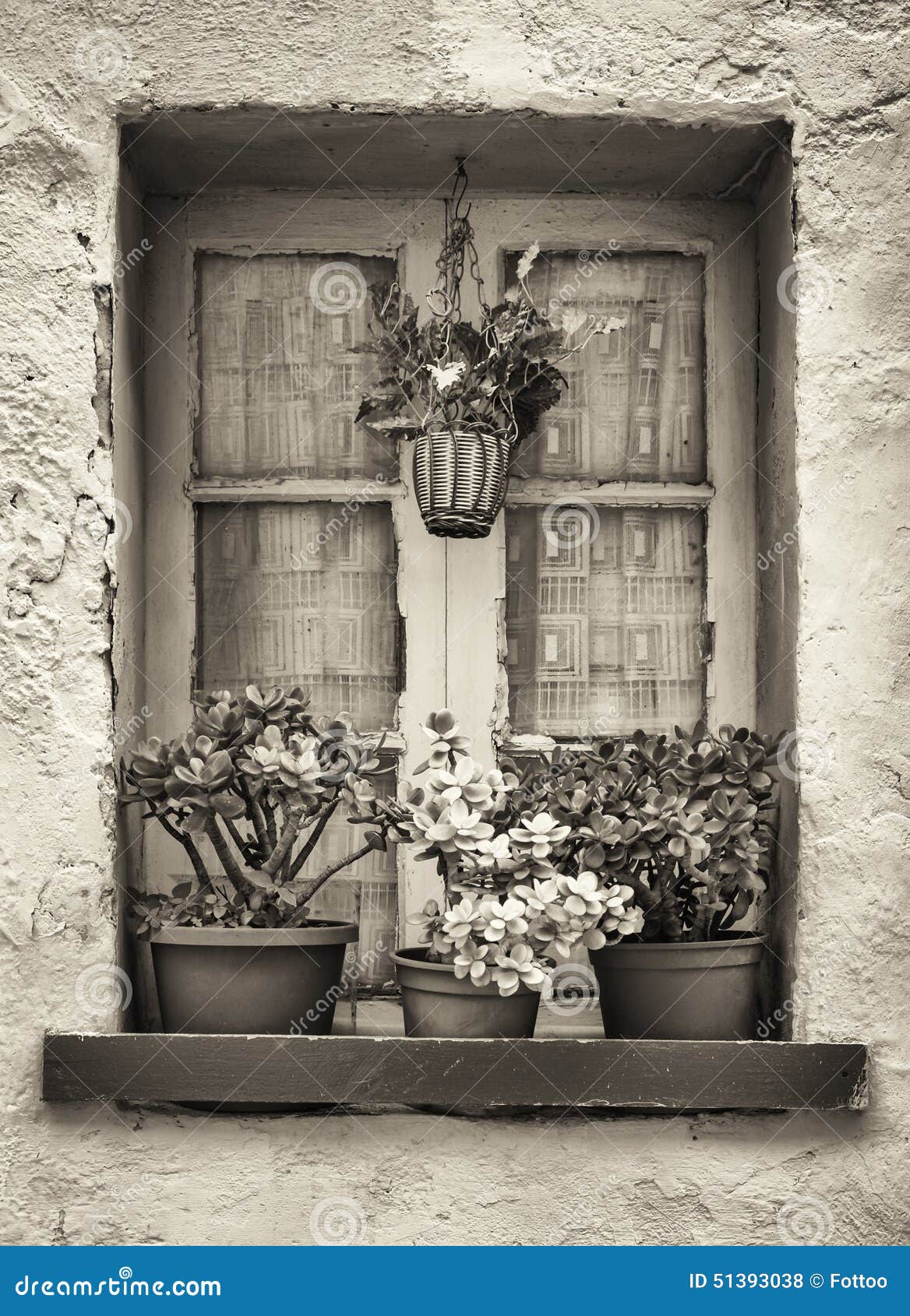 Old window and flowers stock photo. Image of ranch, bavaria - 51393038