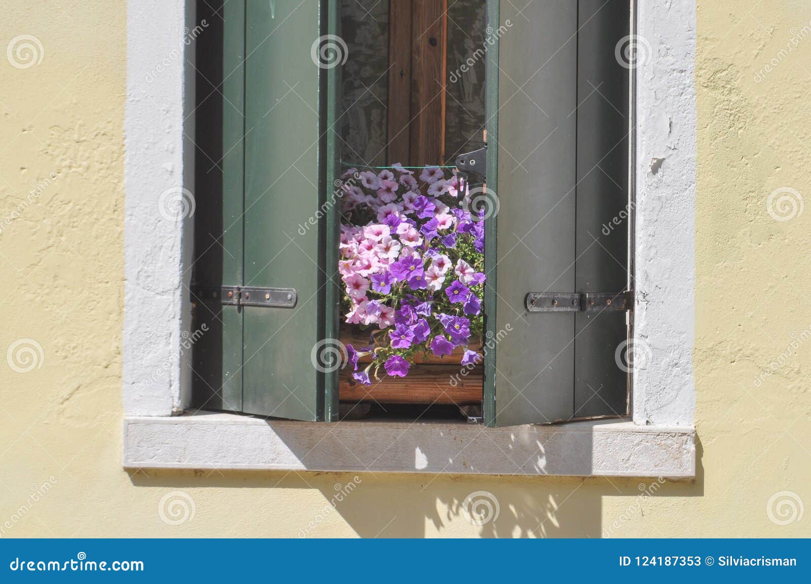 Old window with flowers stock image. Image of plants - 124187353