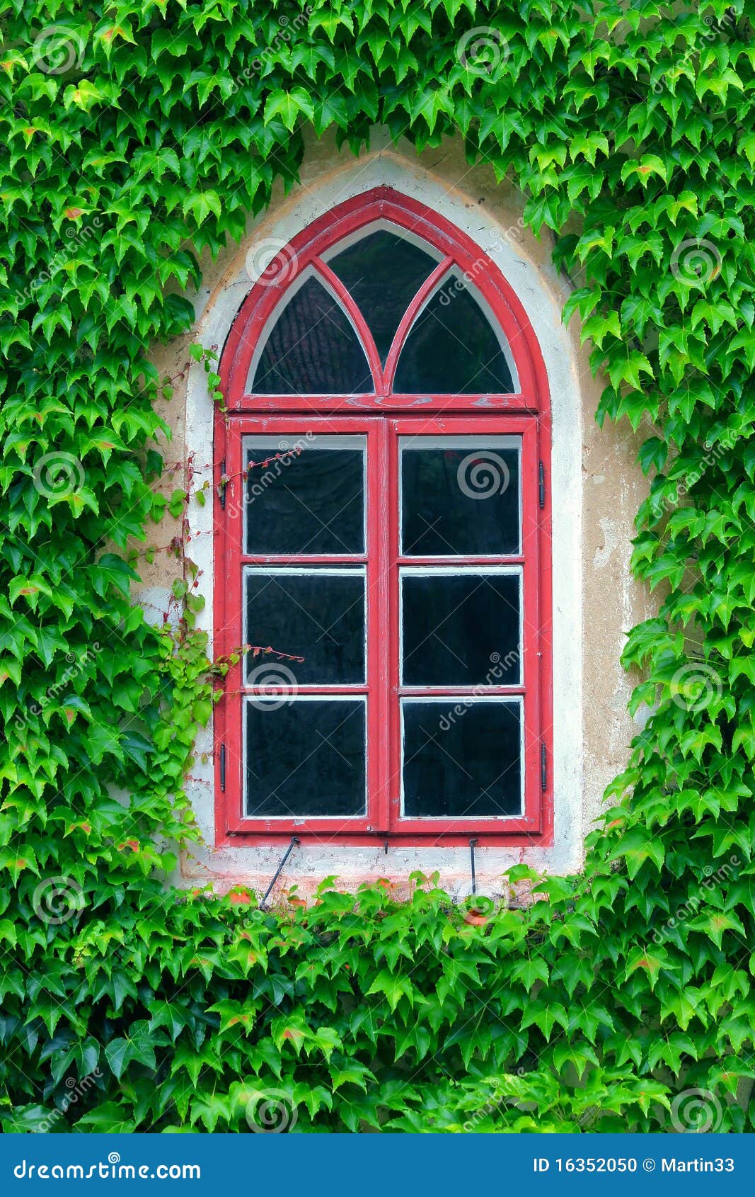Old window and ivy stock photo. Image of natural, leaves - 16352050