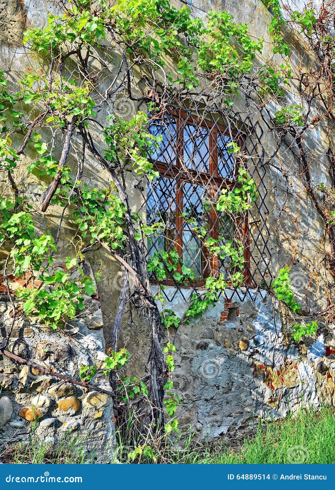 Old window with ivy stock photo. Image of holiday, style - 64889514