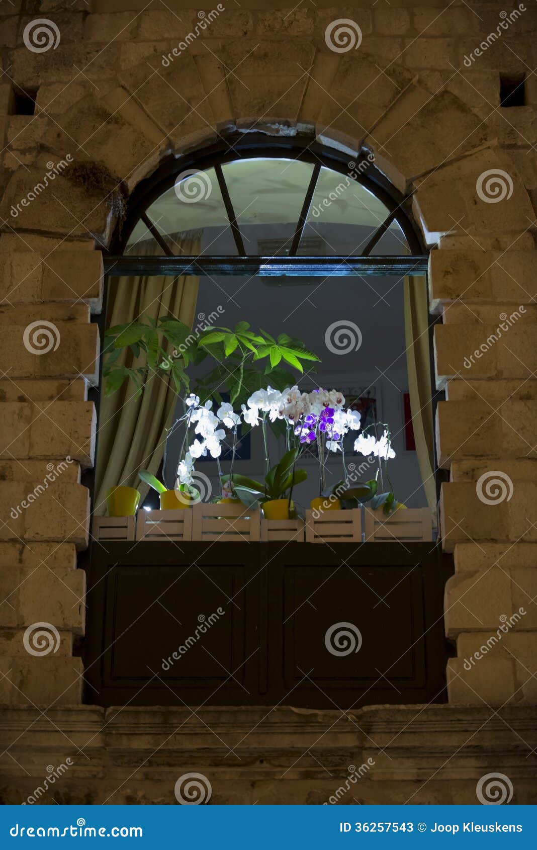 Old window with orchids stock image. Image of flowers - 36257543