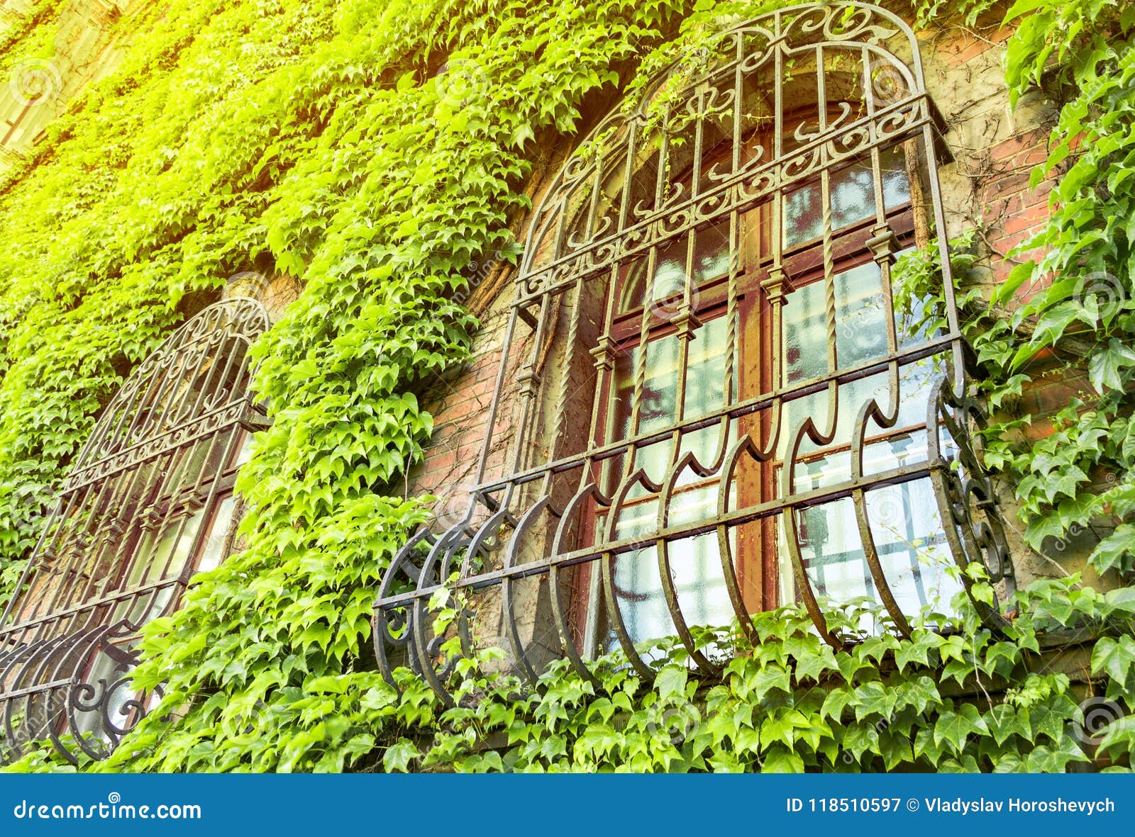 The Old Window Overgrown with Branches of Trees, Beautiful Architecture ...
