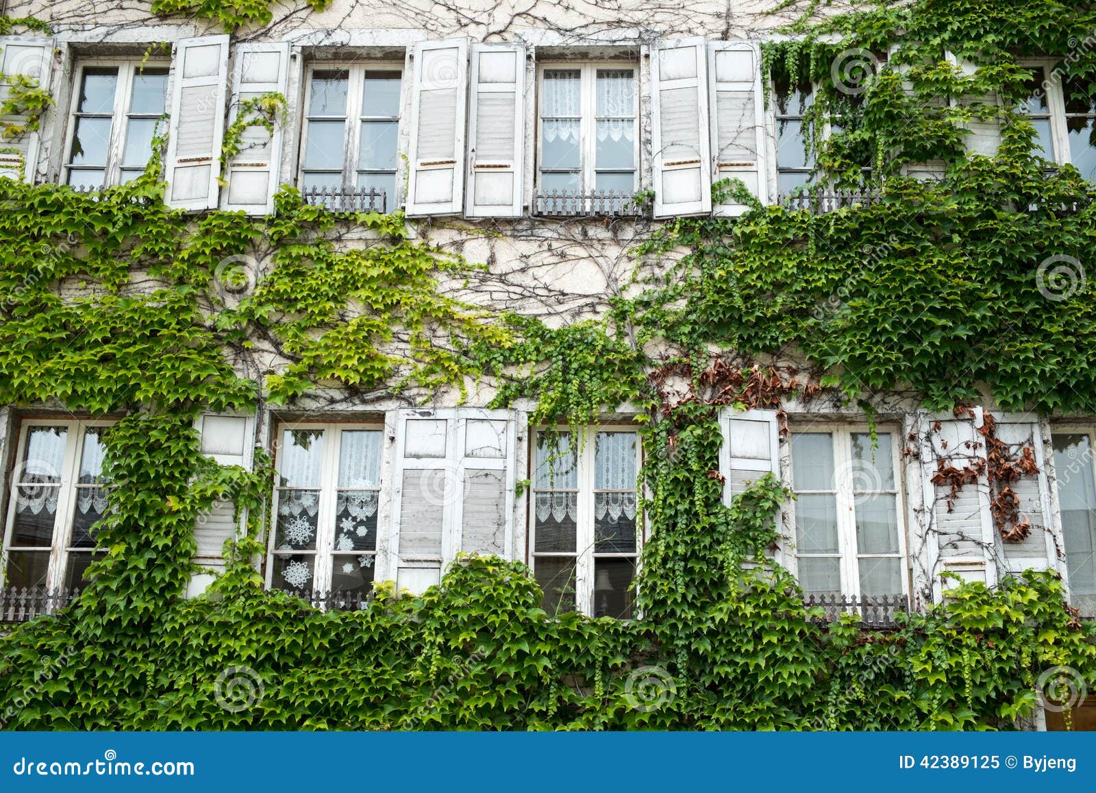 Old Window with tree stock image. Image of garden, plants - 42389125