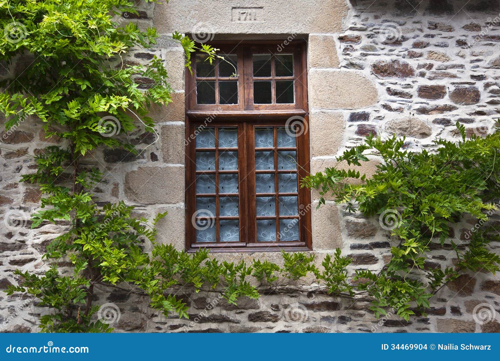 Old Window with vines stock photo. Image of scenery, france - 34469904