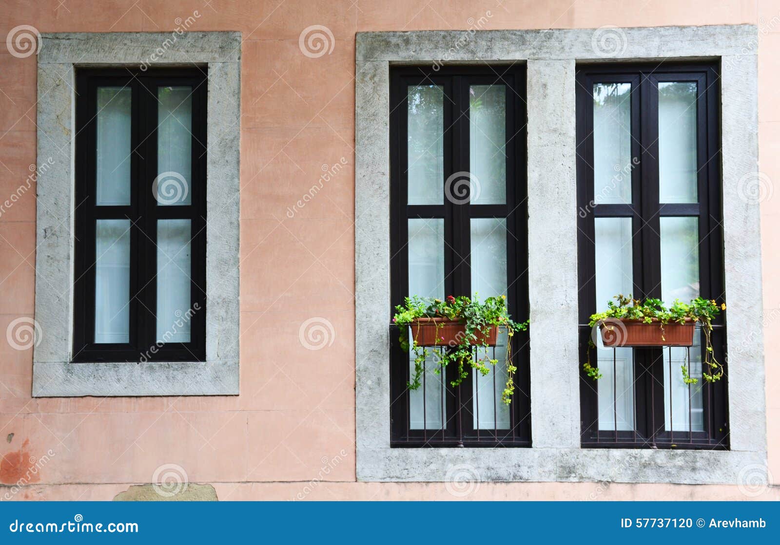 Old Windows with Flower Pots Stock Photo - Image of plant, facade: 57737120
