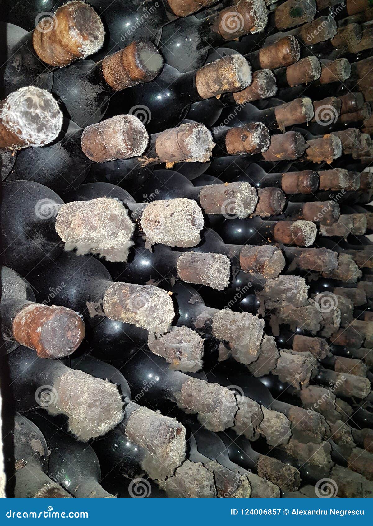 Old Wine Wine Cellar Grape Wine Winery Stock Image - Image of grape ...