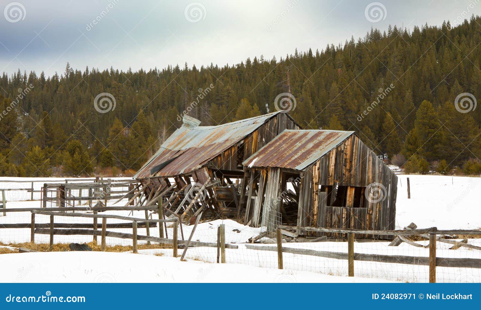 Old Winter Barn on Ranch stock image. Image of pines - 24082971