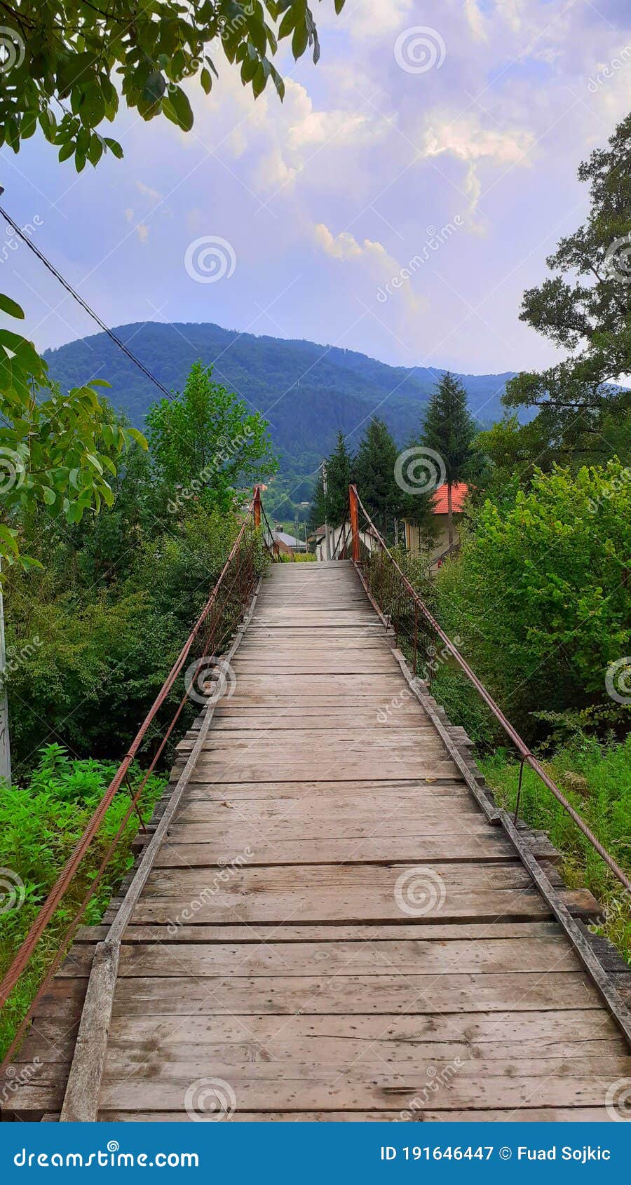 Old wire bridge stock image. Image of flower, forests - 191646447