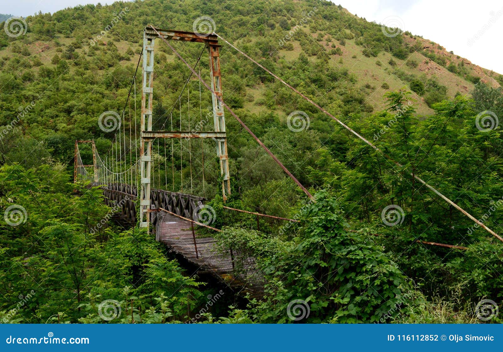Old wire bridge stock photo. Image of nature, list, color - 116112852