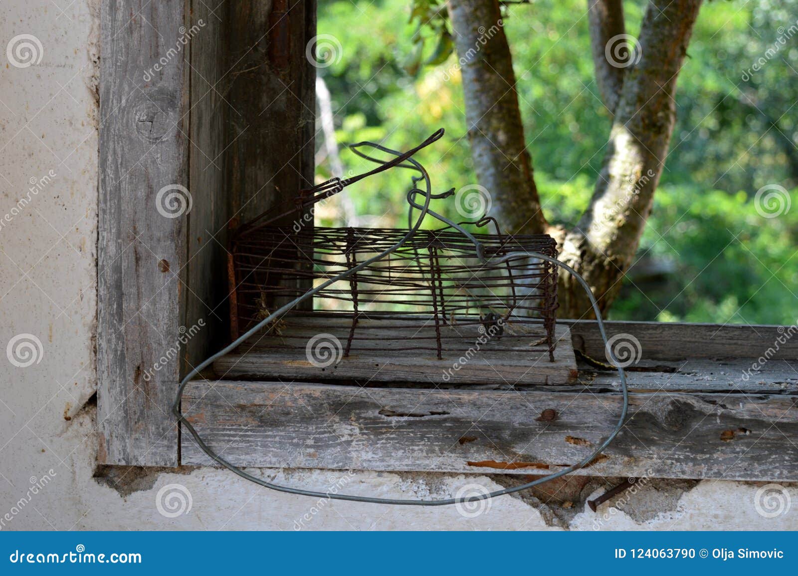 Old Wire Device for Capturing Mice Stock Photo - Image of mice, color ...