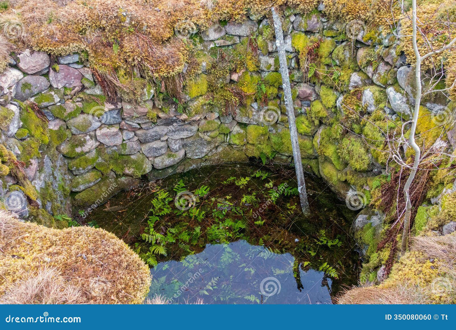 Old Wolf Pit with Water and Plants Built by Stones Stock Photo - Image ...
