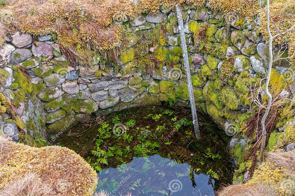 Old Wolf Pit with Water and Plants Built by Stones Stock Photo - Image ...