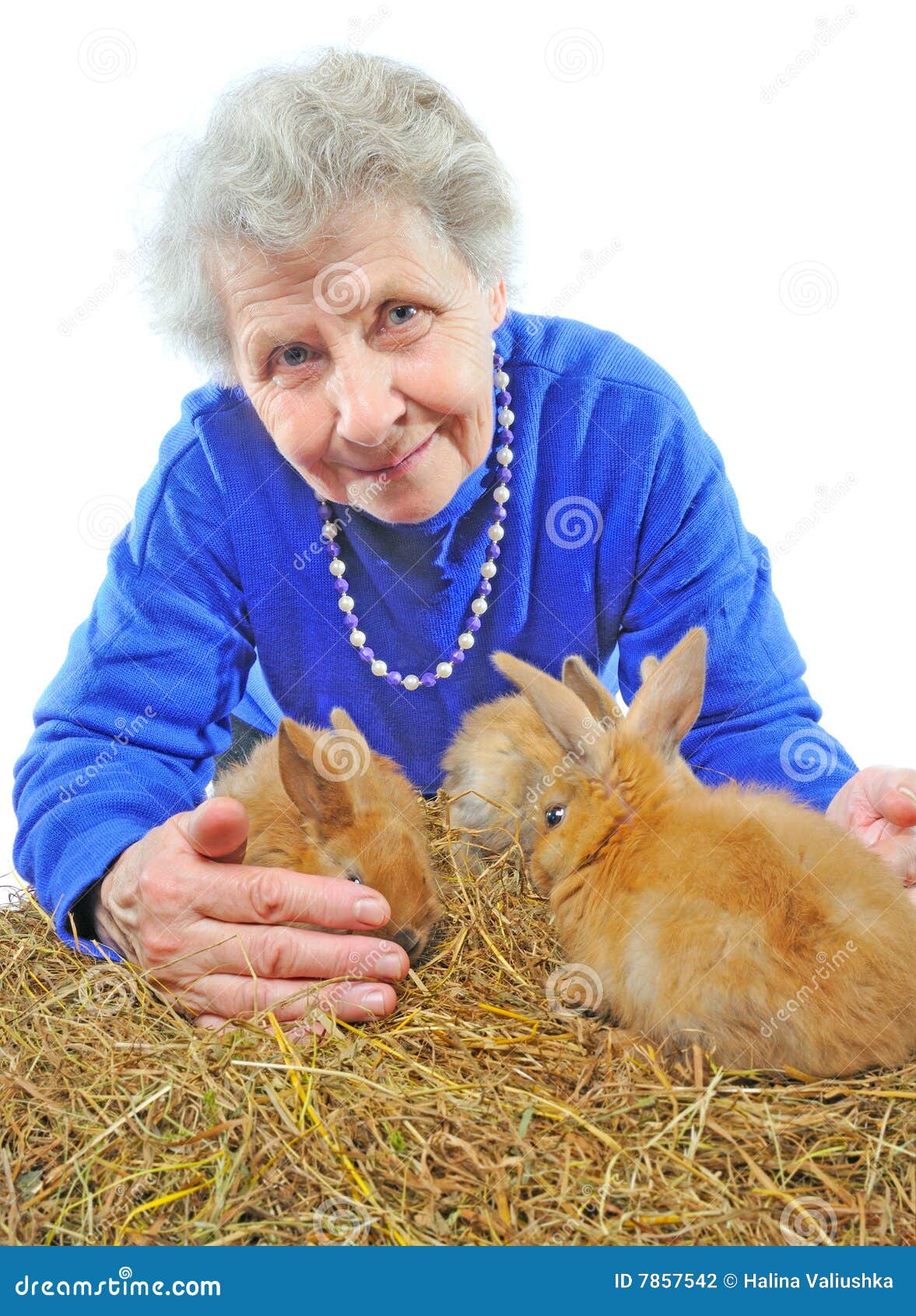Old woman with bunny stock photo. Image of three, pensioner - 7857542