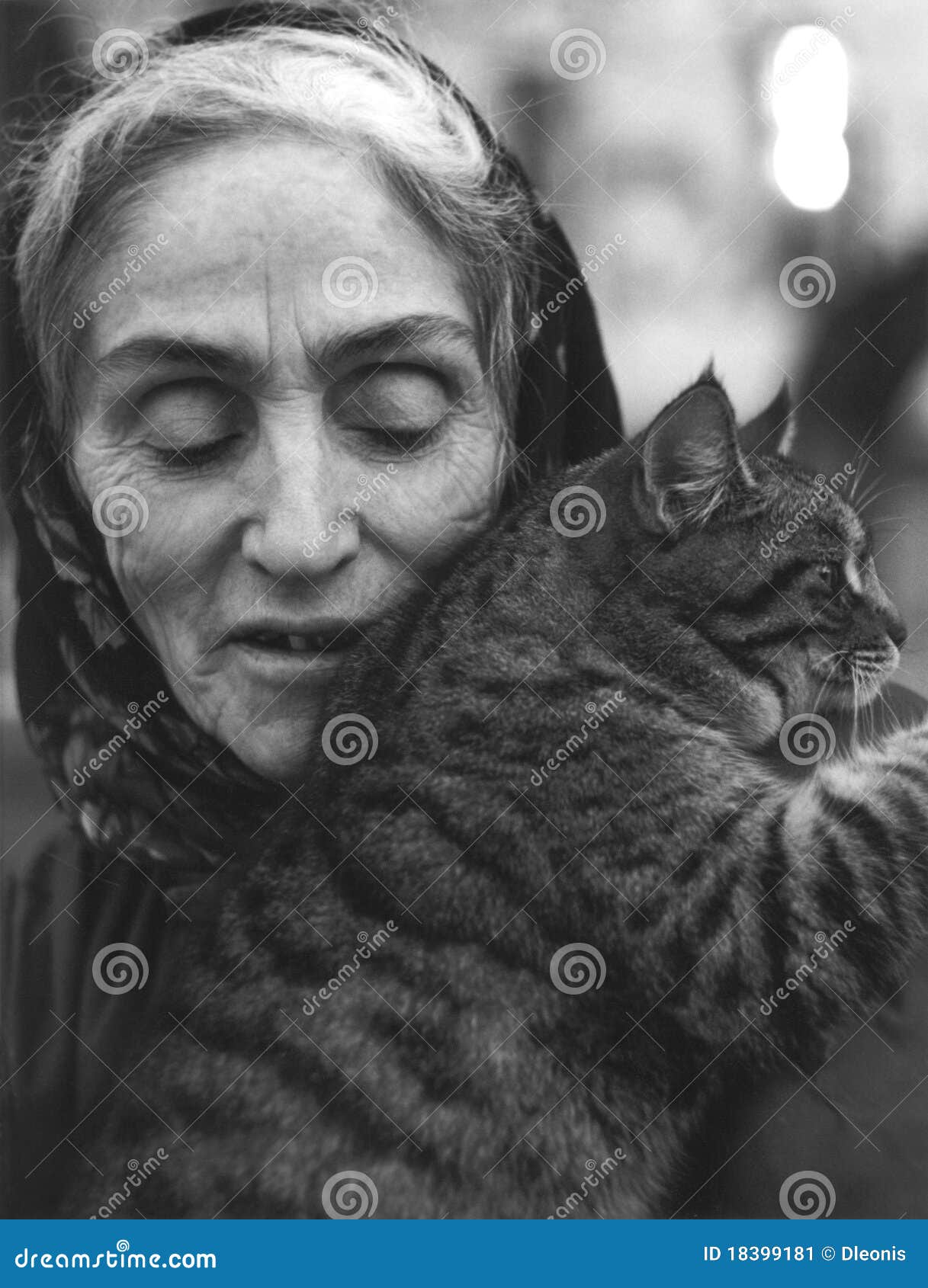 Old woman with cat editorial photo. Image of relation - 18399181