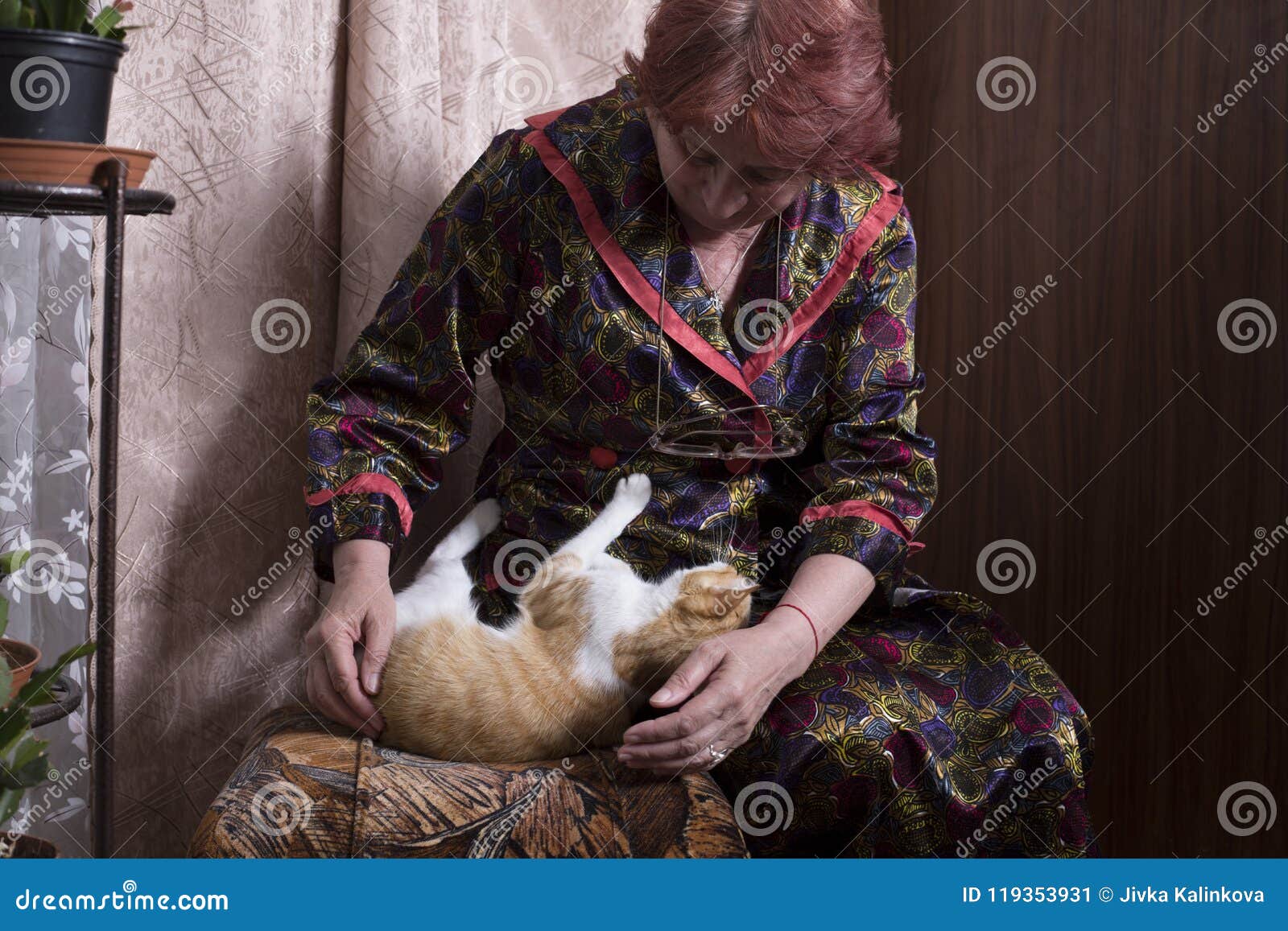 Old Woman With A Cat In Her Home Stock Image Image Of Mature Notes