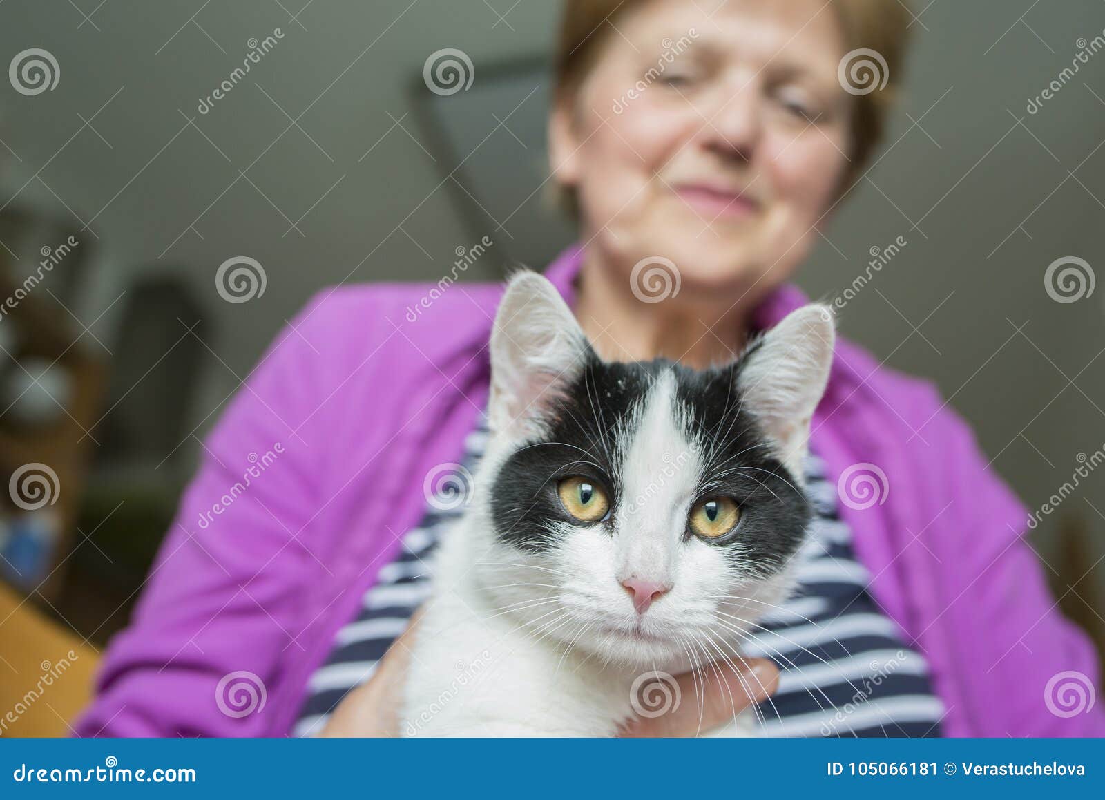 Old woman with a cat stock image. Image of health, face - 105066181