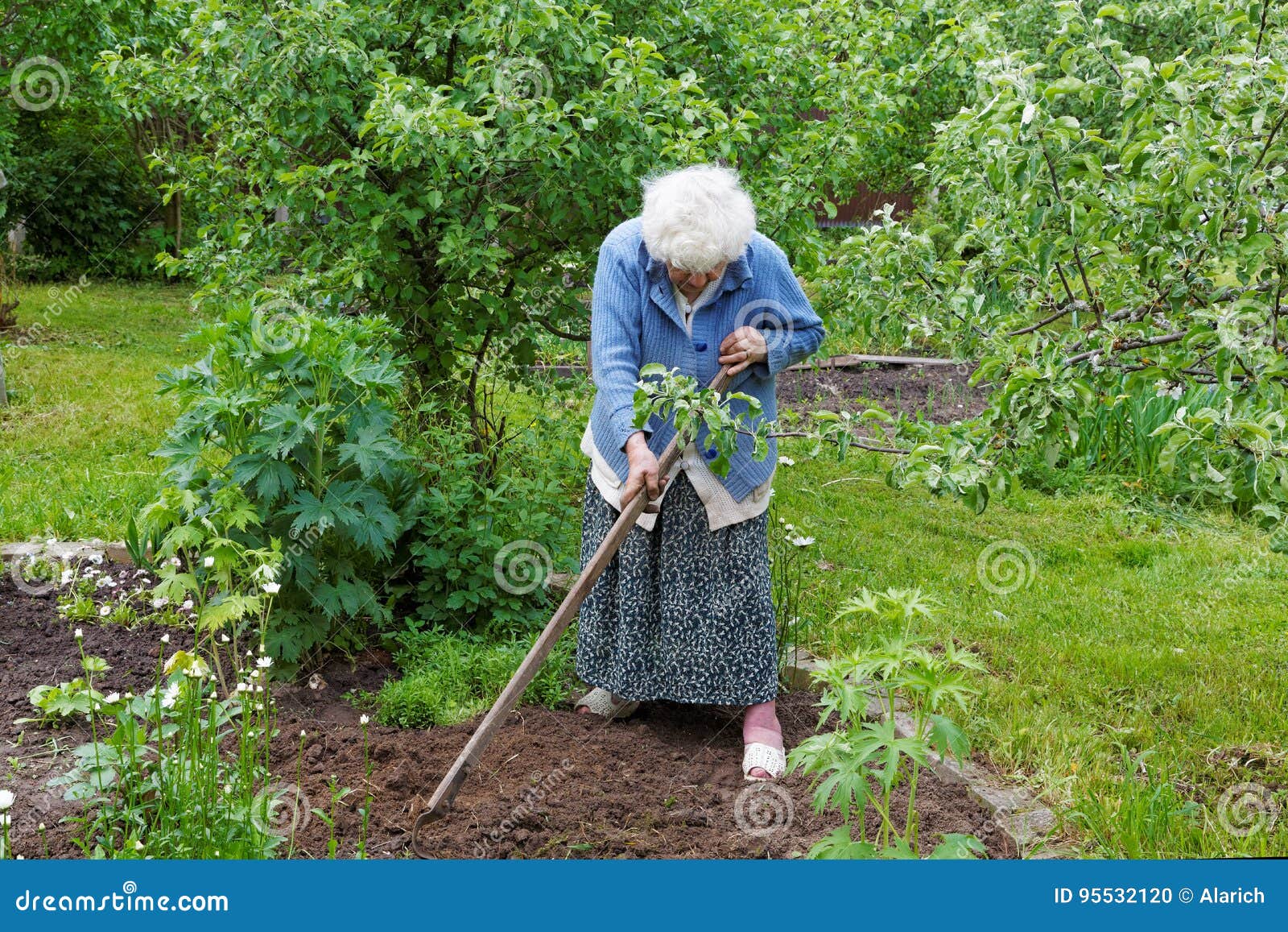 The Old Woman with a Chopper Works in a Garden Stock Photo - Image of ...