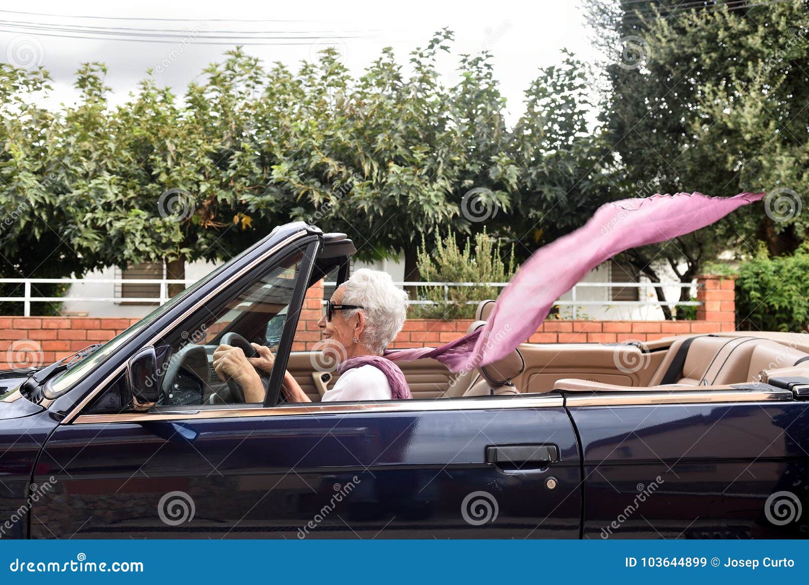 Old Woman Driving a Convertible Stock Image - Image of outdoors ...