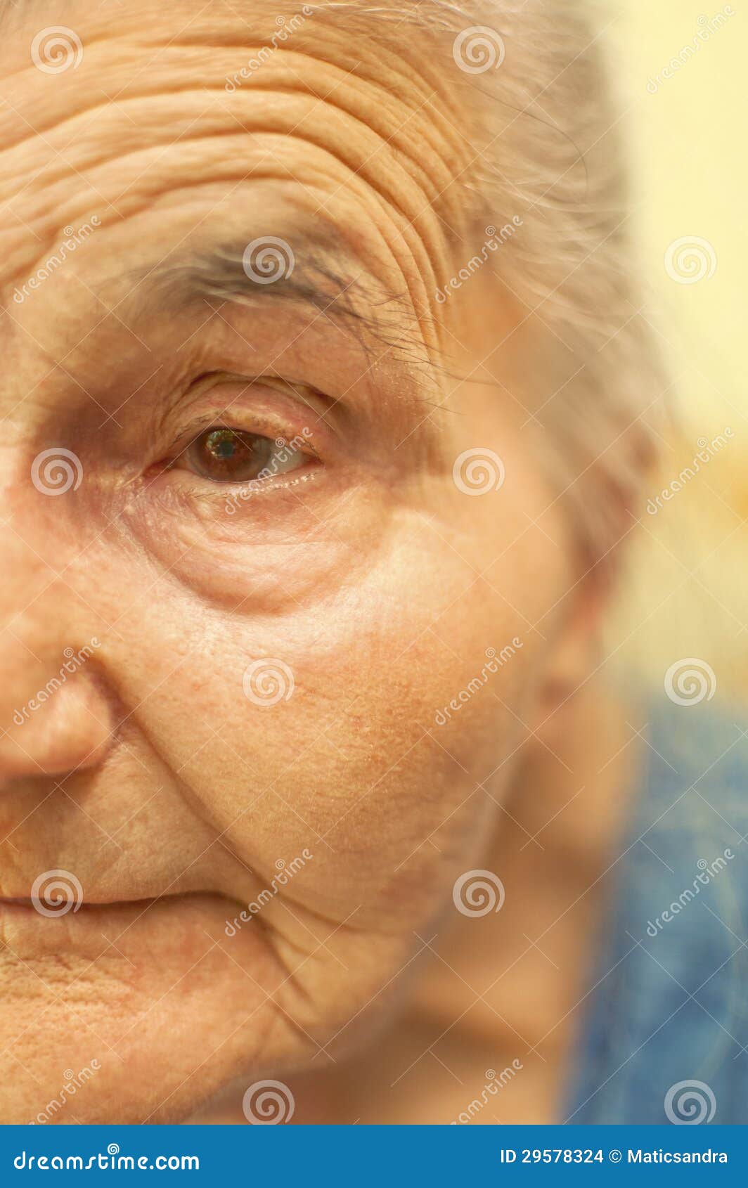 Old woman face stock photo. Image of aged, detail, grandma - 29578324