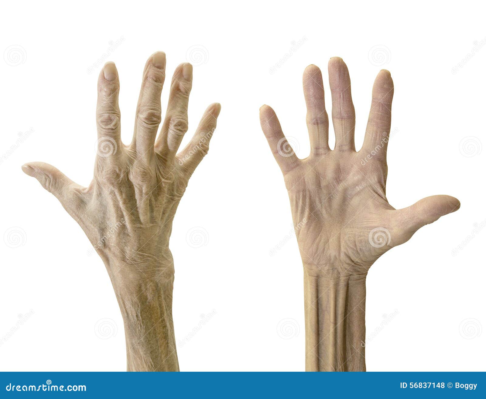 Old woman hand stock photo. Image of closeup, person - 56837148
