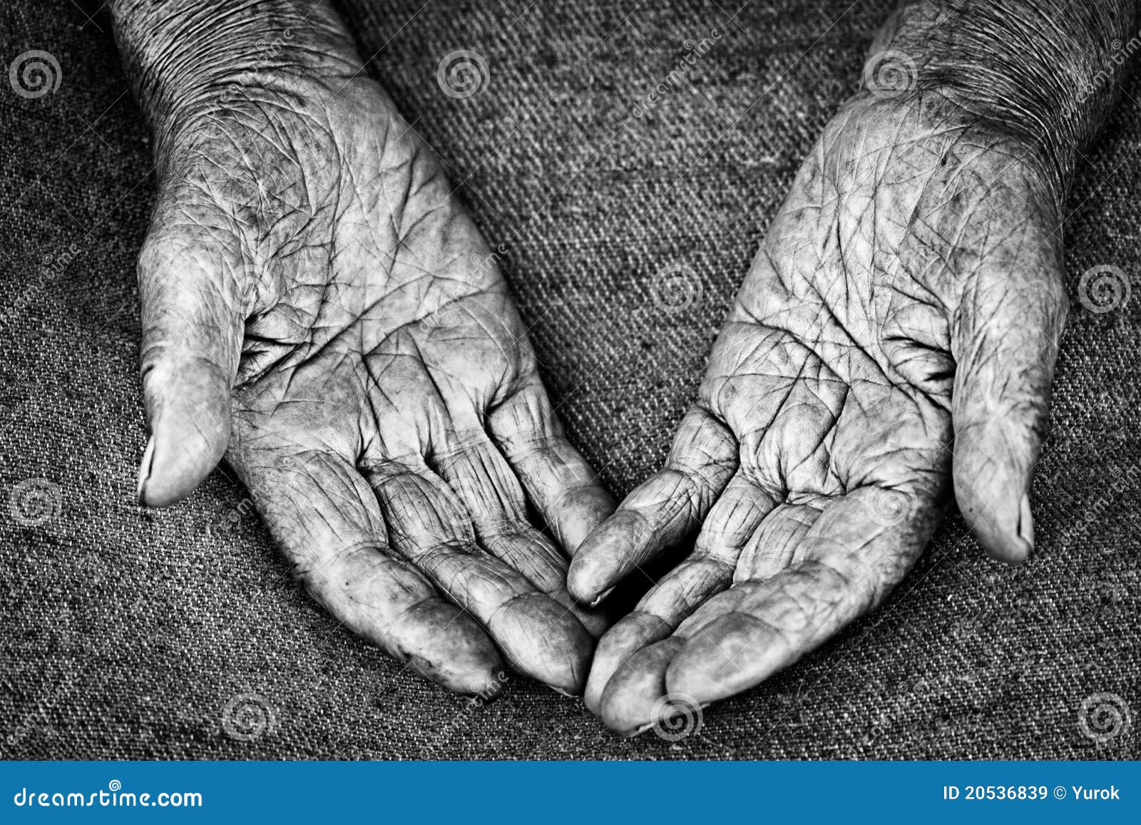 Old woman hands stock image. Image of aging, care, grandmother - 20536839