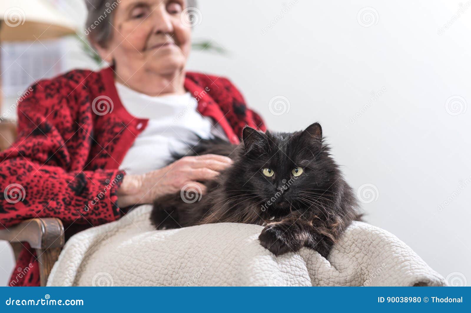 Old woman with her cat stock photo. Image of cute, sitting - 90038980
