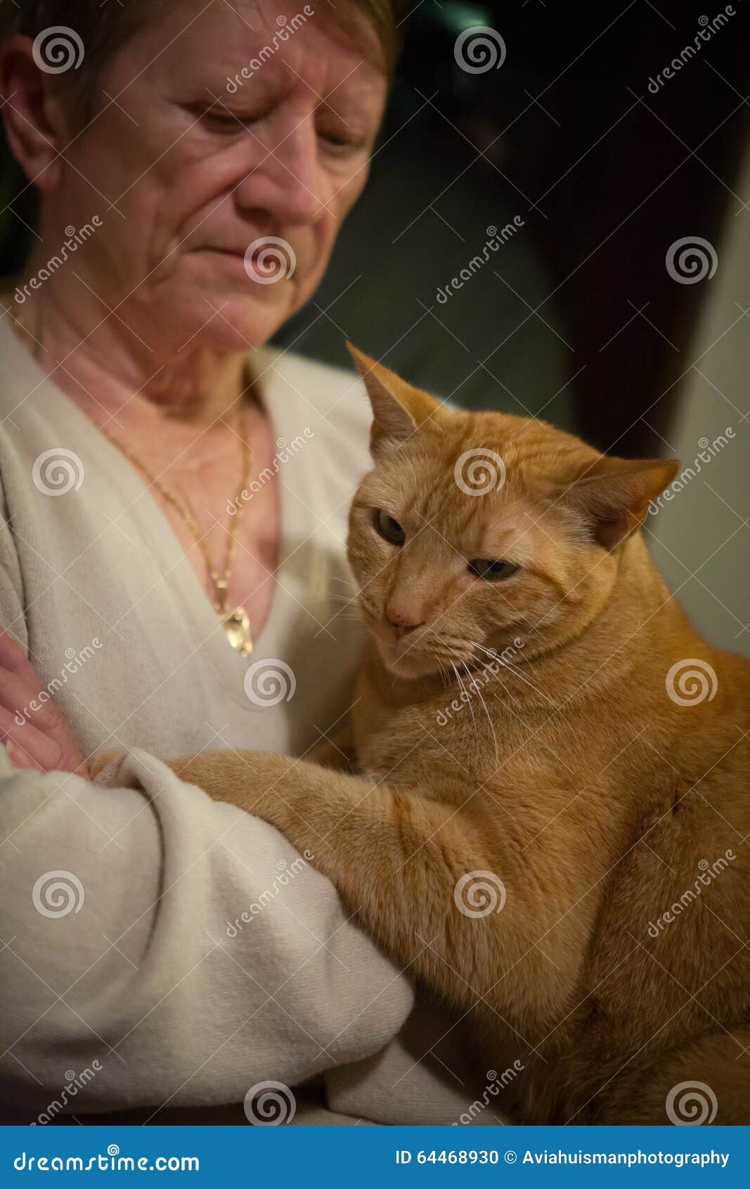 Old Woman And Her Cat Royalty-Free Stock Image | CartoonDealer.com ...