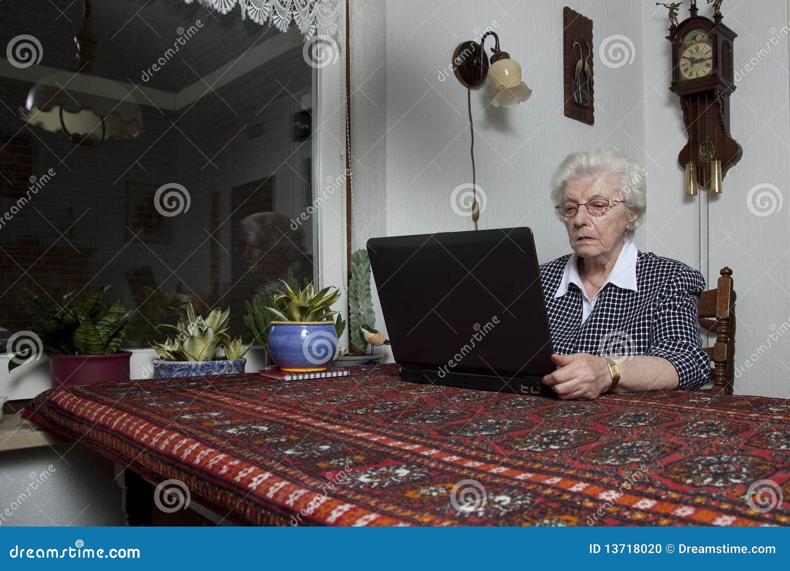 Old Woman Looking At Her Laptop Computer Stock Photo - Image: 13718020