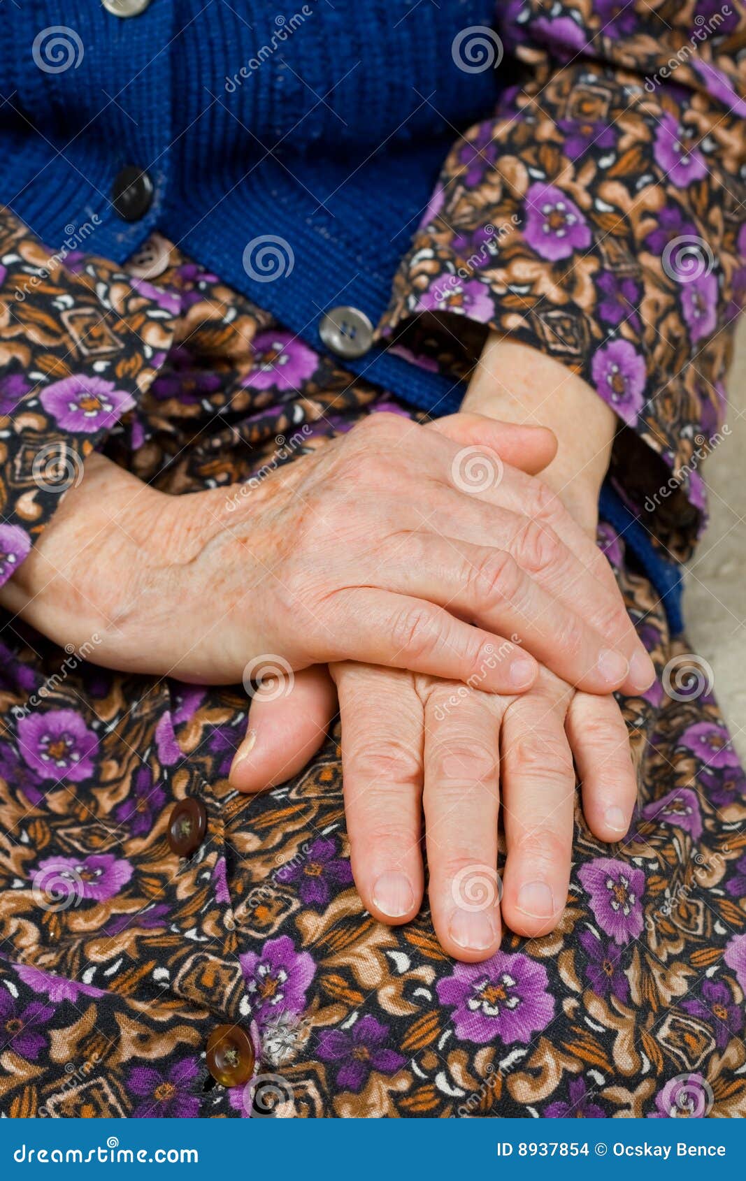 Old woman s hands stock photo. Image of shaking, love - 8937854