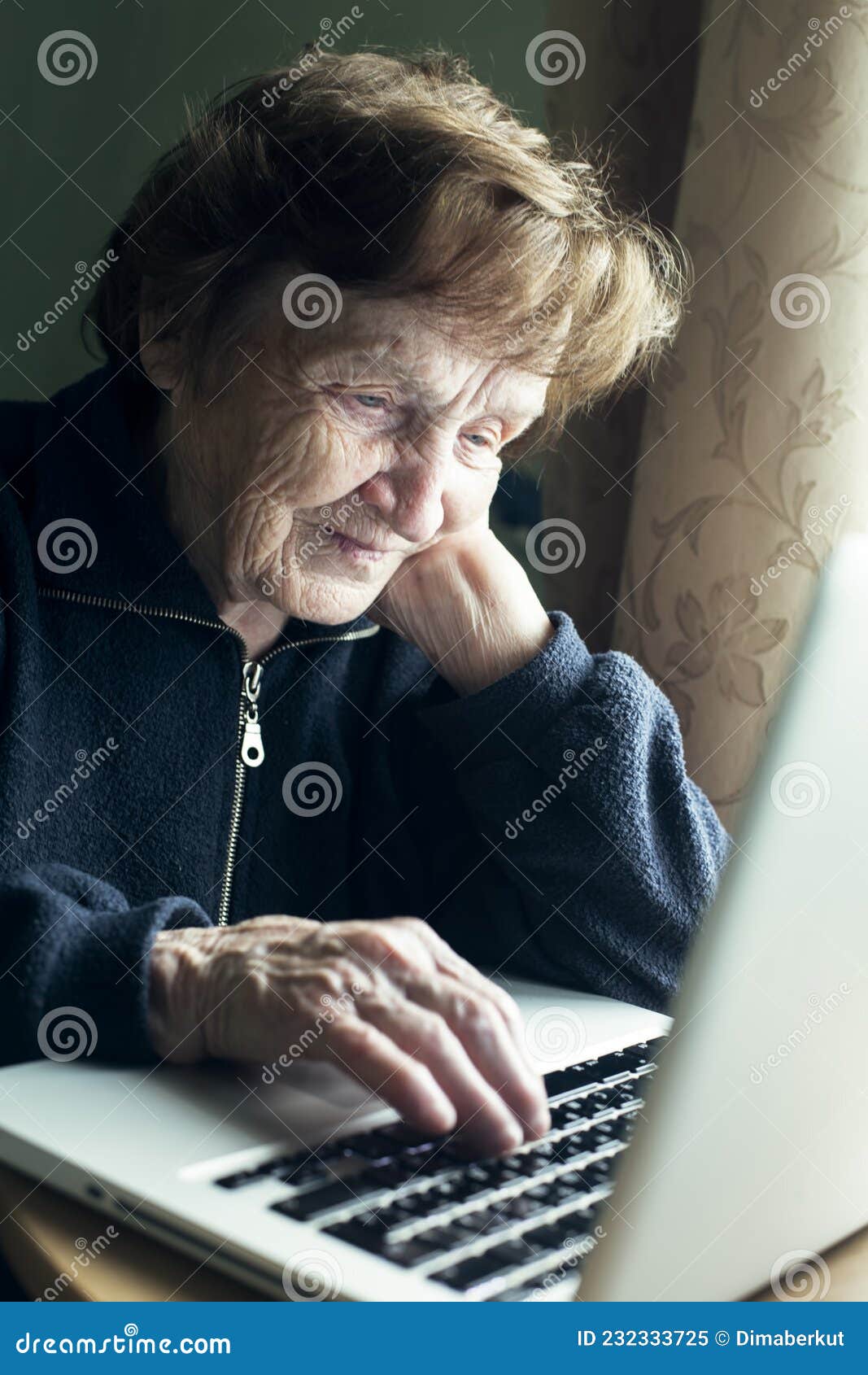 Old Woman Studying Working on the Computer in Her Home. Stock Image ...
