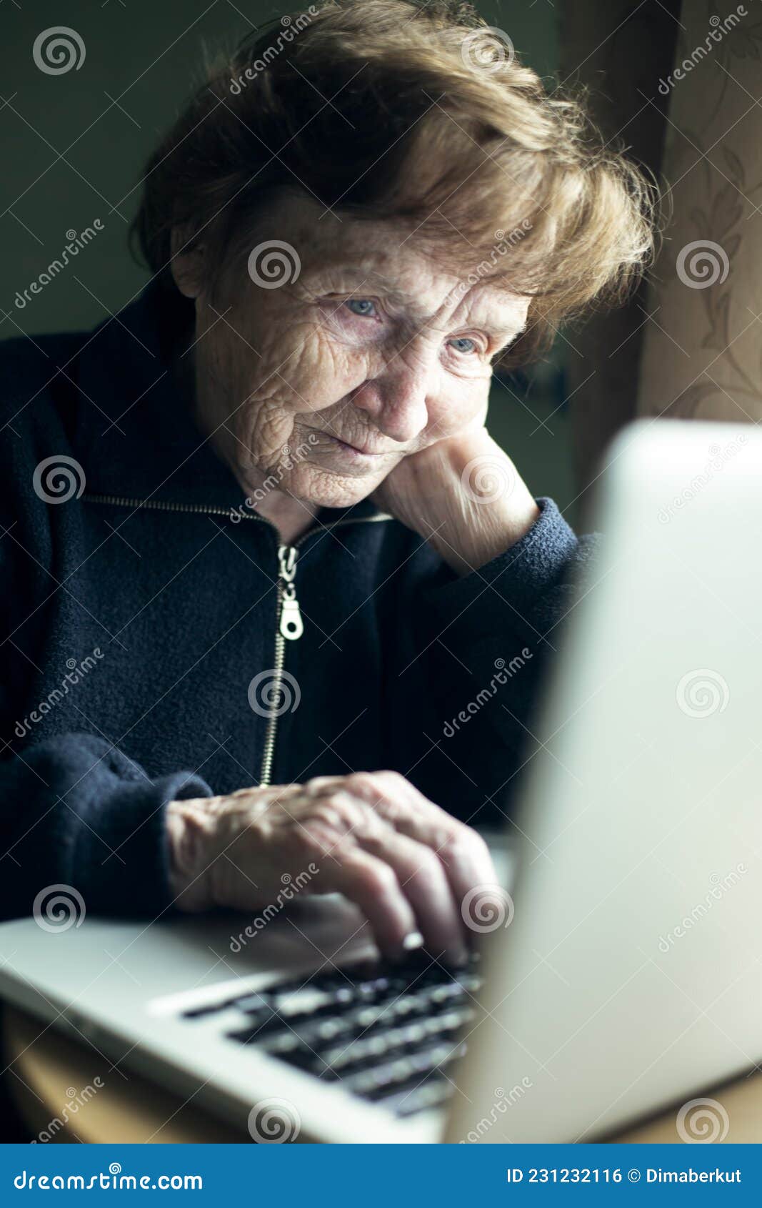 An Old Woman is Typing on a Laptop at Her Home. Stock Photo - Image of ...