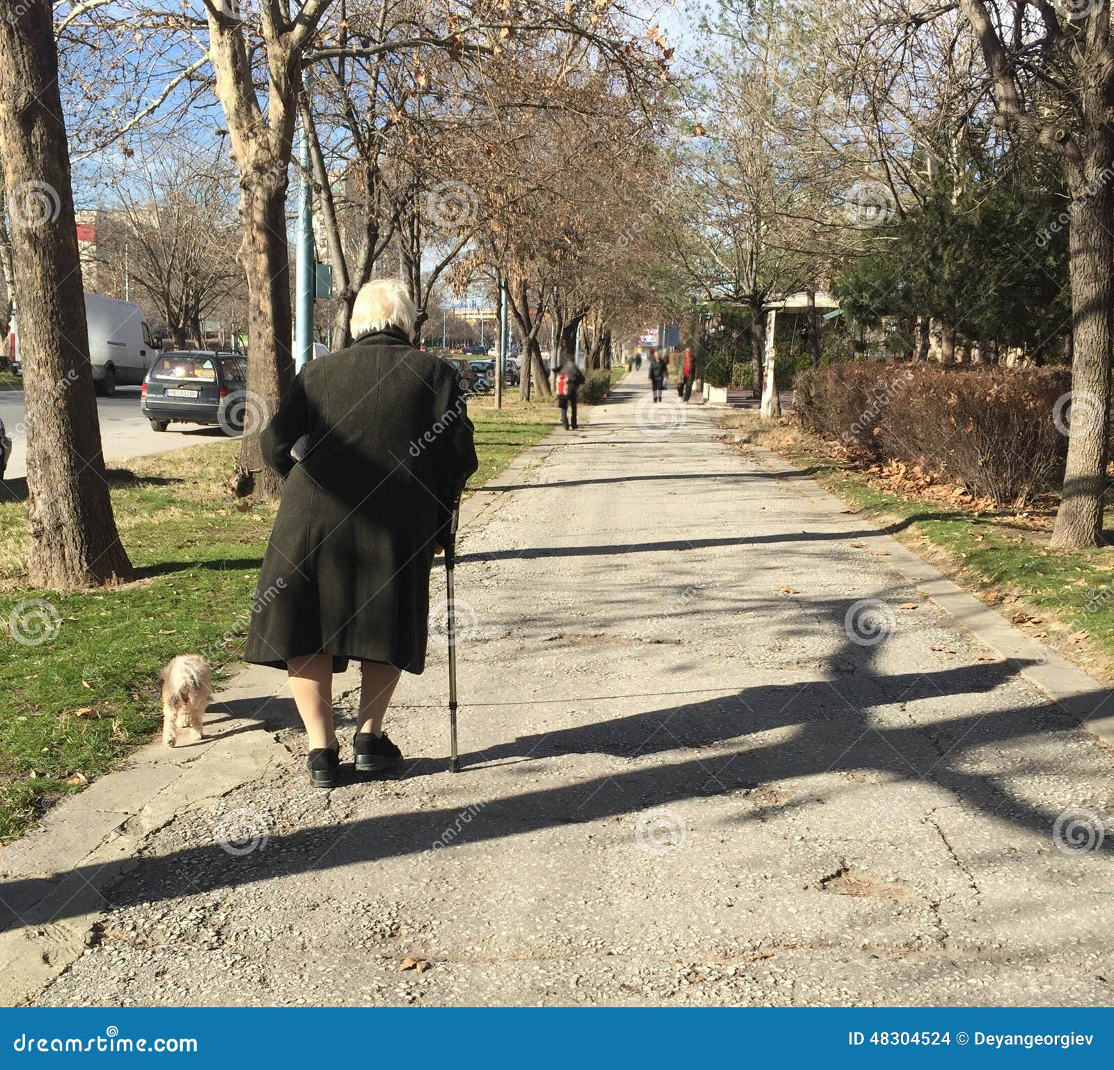 Old Woman Walking with Her Dog Editorial Stock Image - Image of woman ...