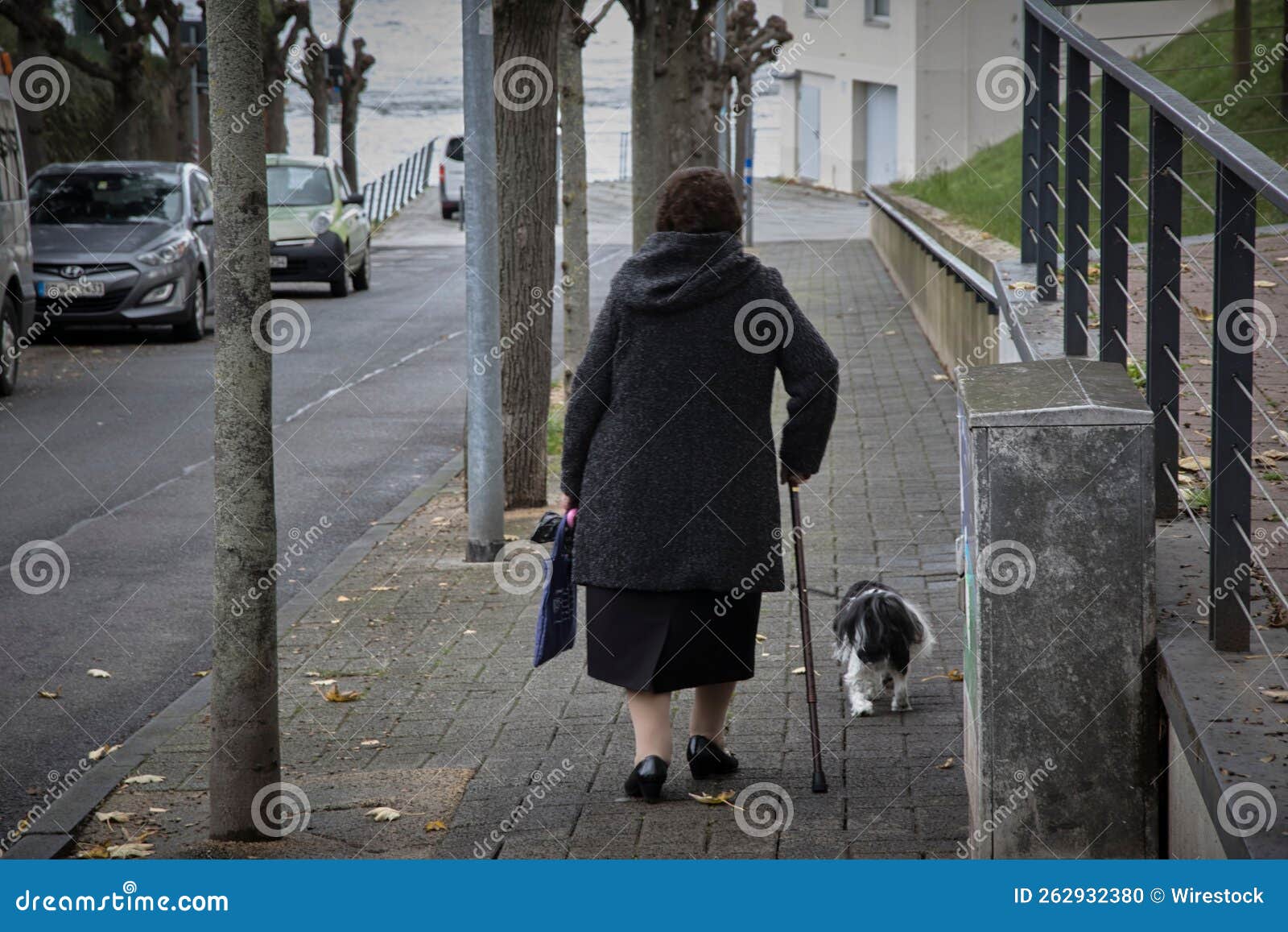 Old Woman Walking Outdoors with Her Dog Stock Photo - Image of stick ...