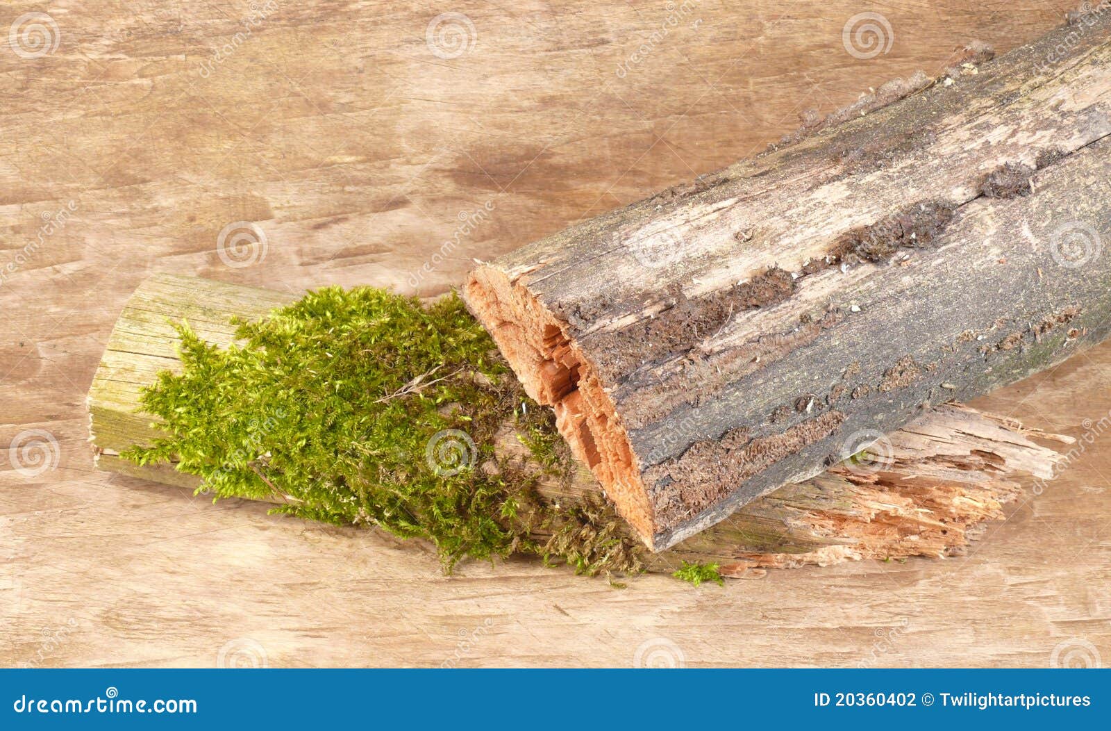 Old wood stock photo. Image of still, organic, rotting - 20360402