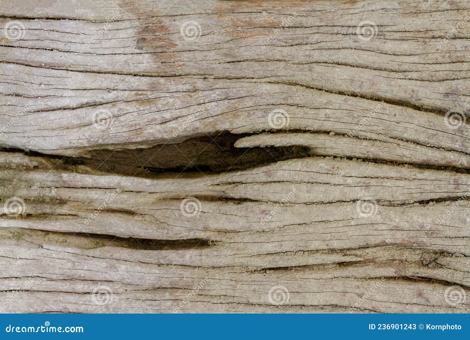 Old Wood Background and Texture Surface Stock Image - Image of board ...