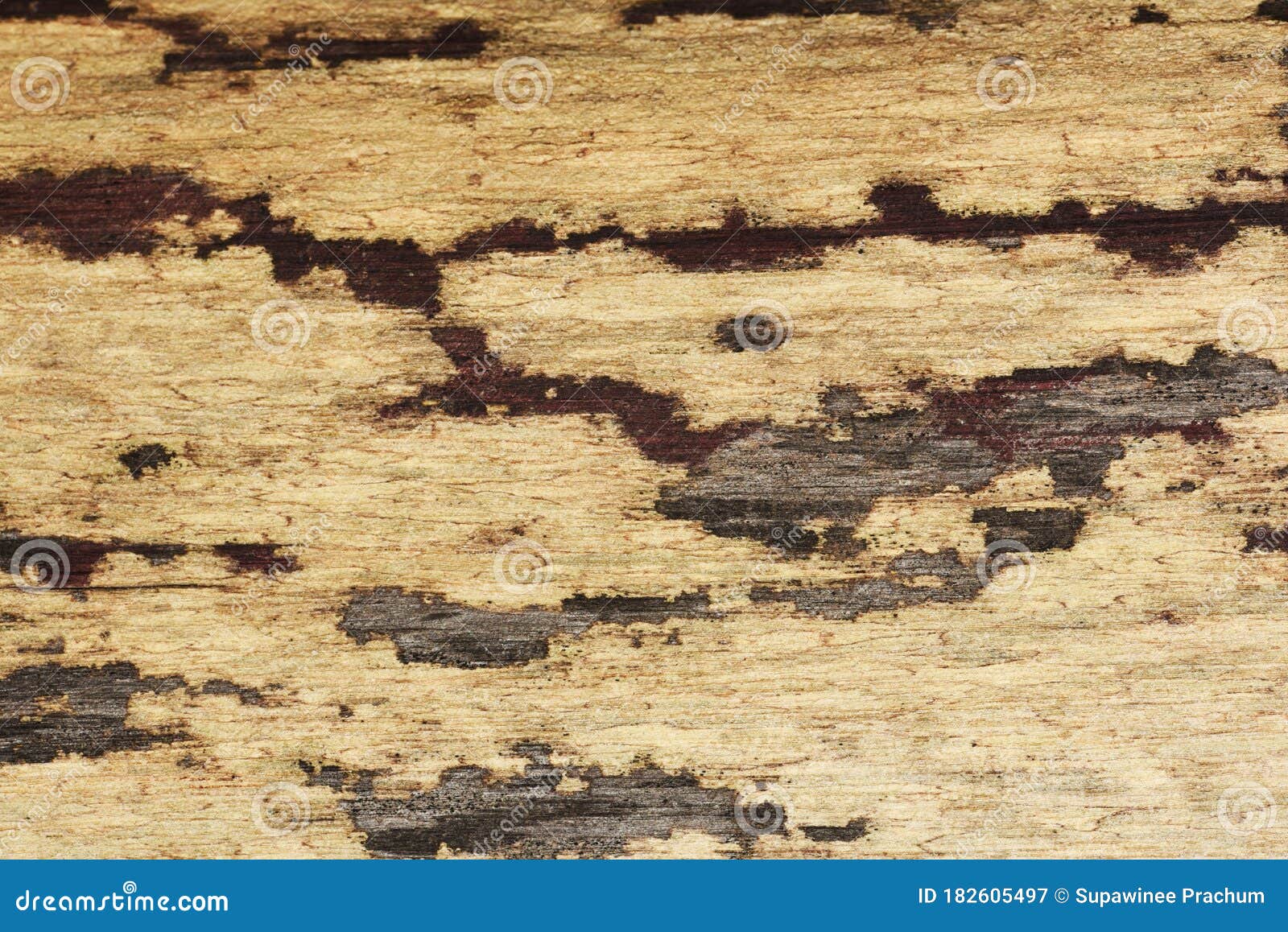 The Old Wood Backgrounds Textures Stock Image - Image of timber ...