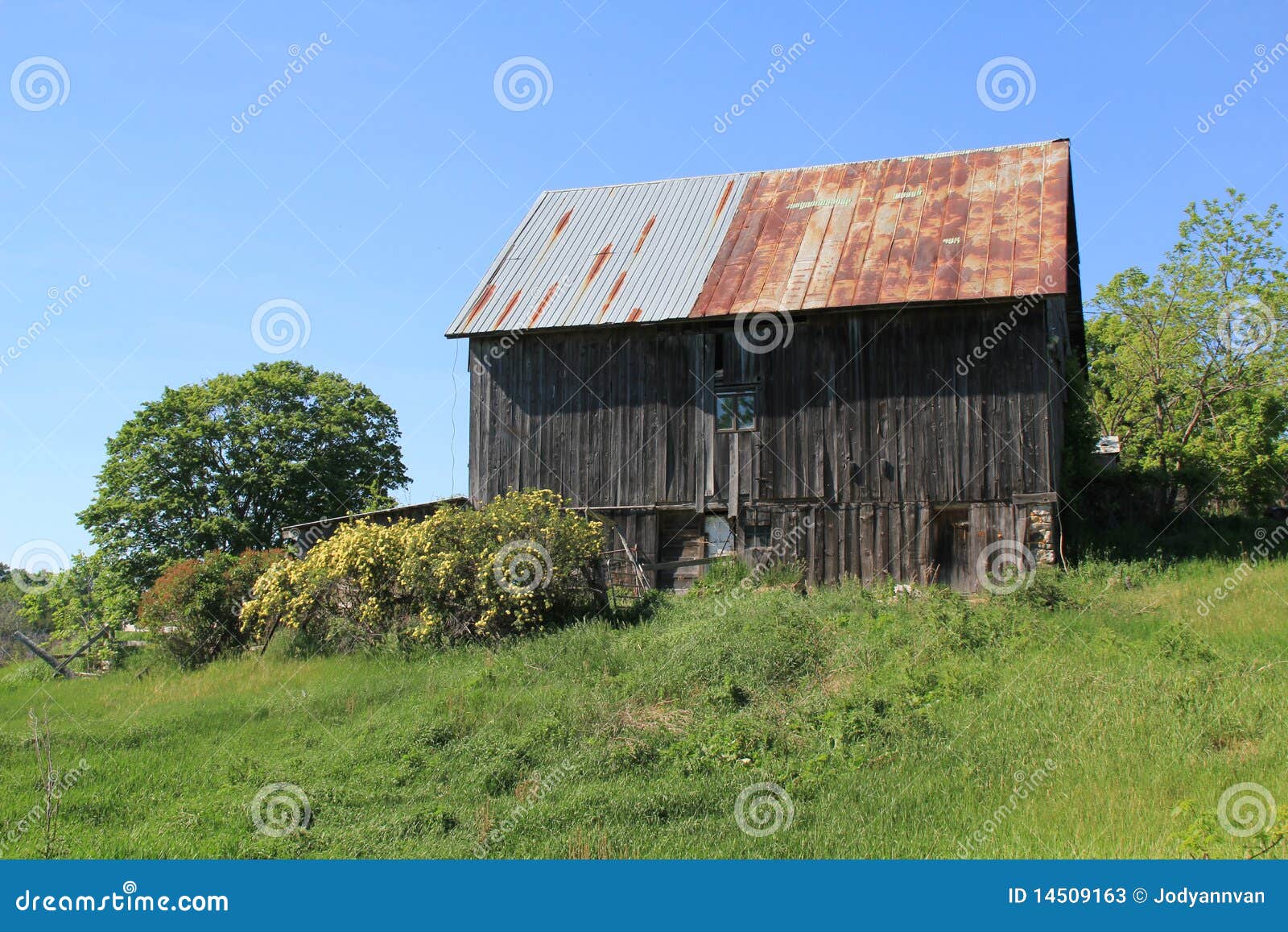Old wood barn with roses stock image. Image of barn, hillside - 14509163