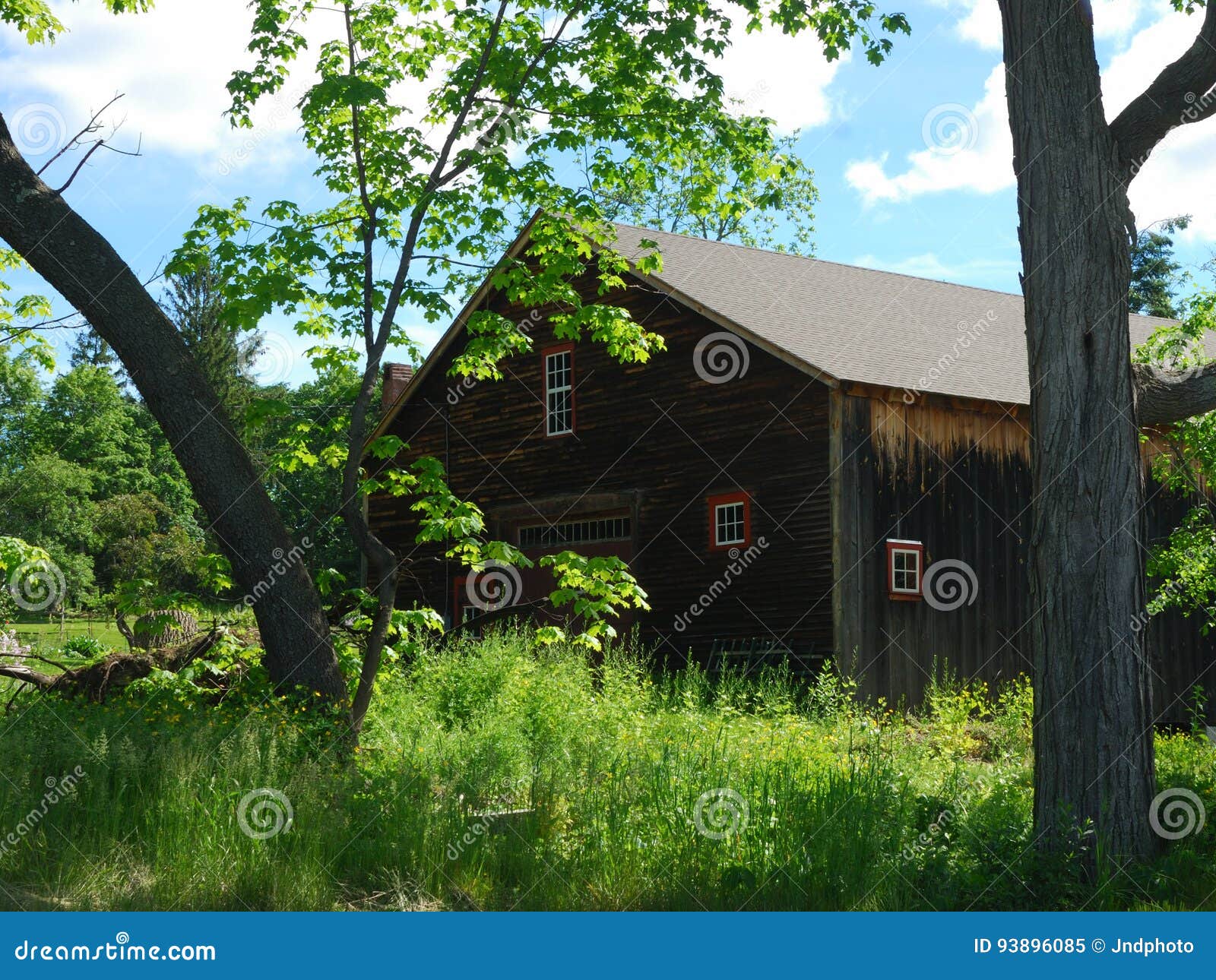 Old Wood Barn Set between Two Trees Stock Image - Image of trim ...