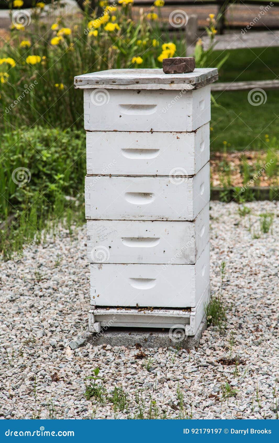 Old Wood Bee Hive stock image. Image of beehive, beekeeper - 92179197